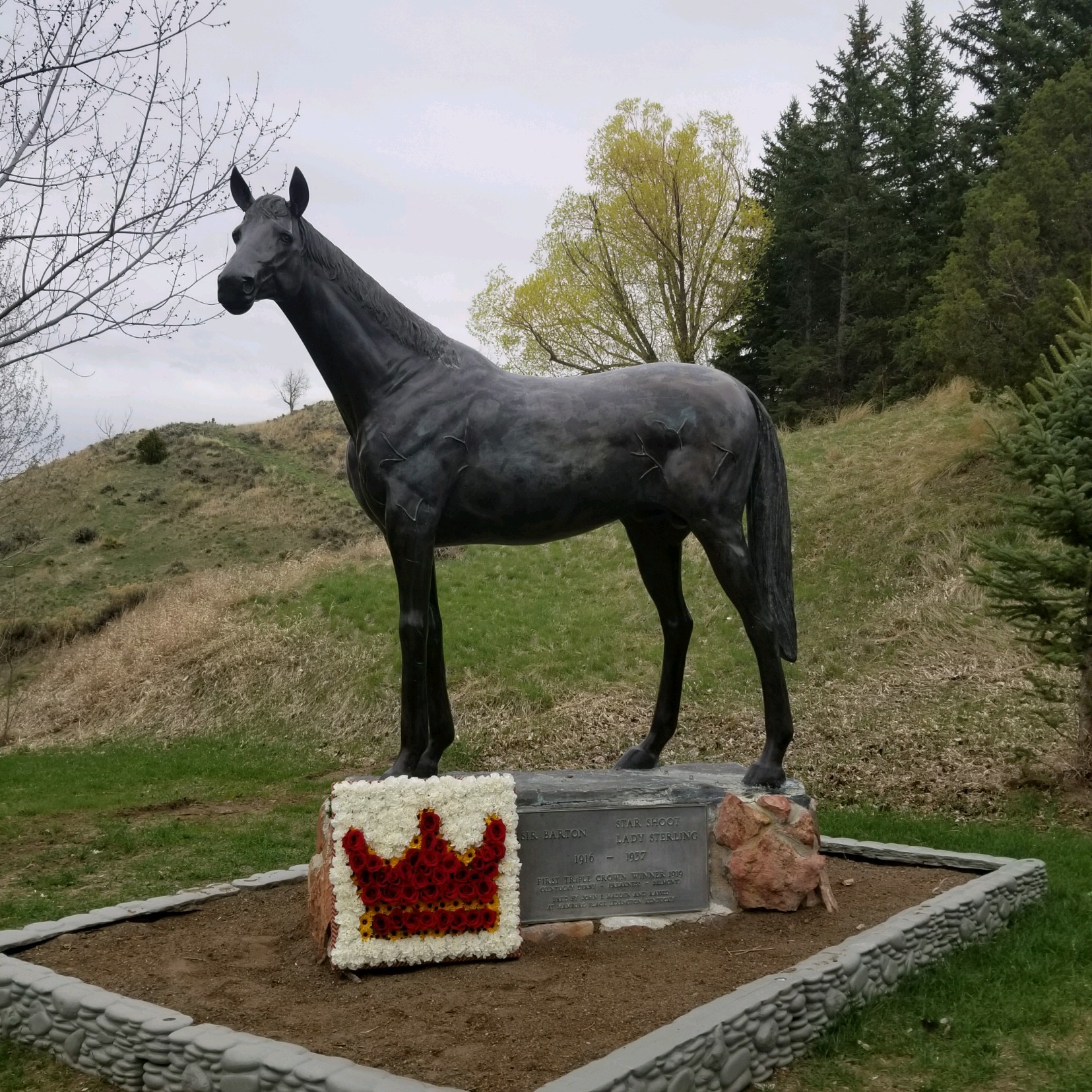 Sir Barton Turns 100+3! – The Sir Barton Project
