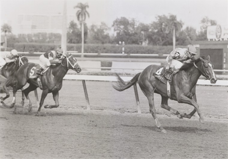 The Sir Barton Project – A Blog About Sir Barton, His Contemporaries ...